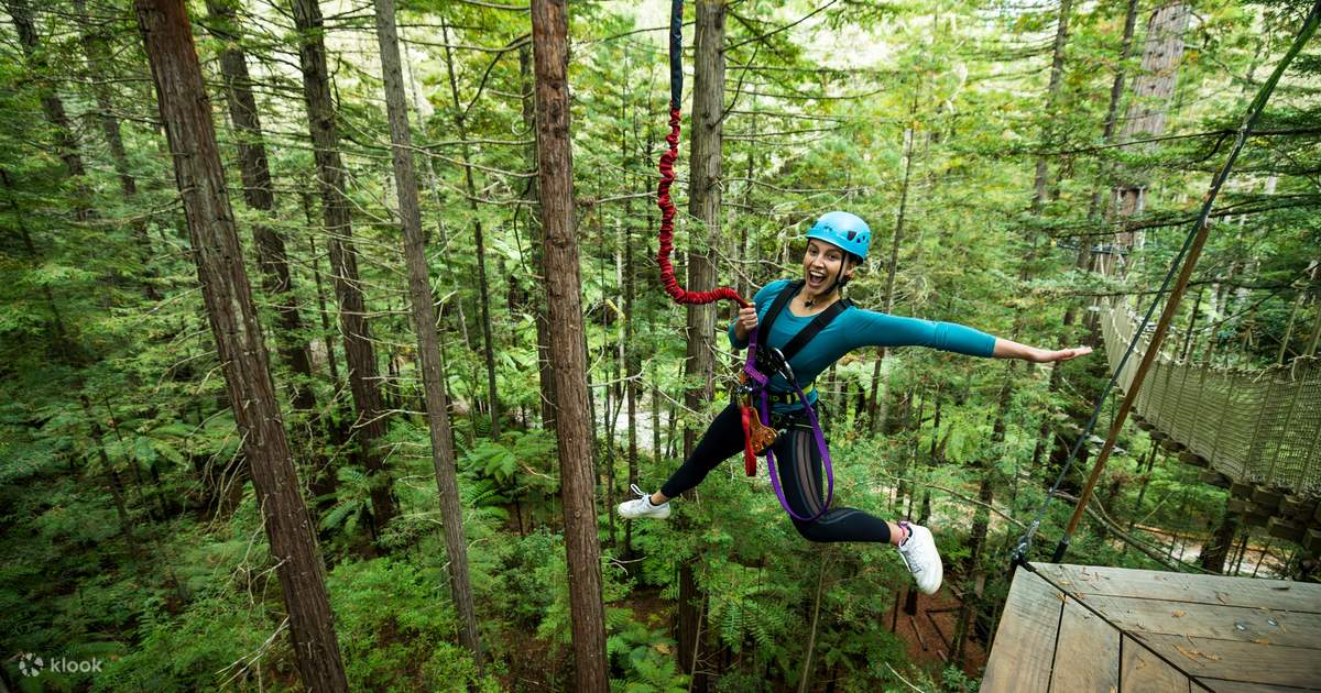 Best Time to Visit the Redwoods for Weather, and Views